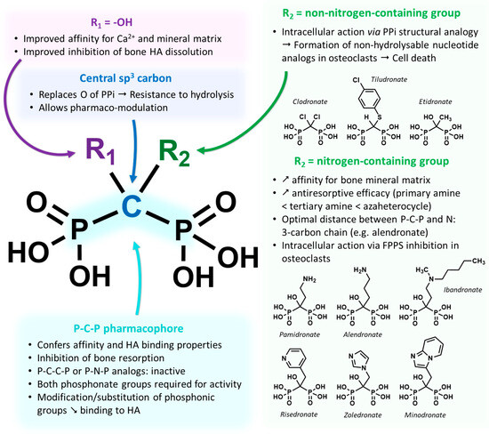 Bisphosphonates as Radiopharmaceuticals: Spotlight on the Development ...
