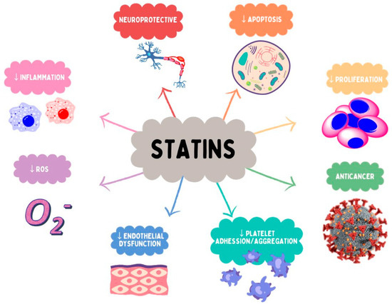 Statins—From Fungi to Pharmacy