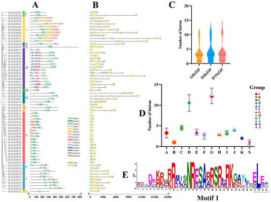 The bZIP Transcription Factors in Current Jasmine Genomes ...