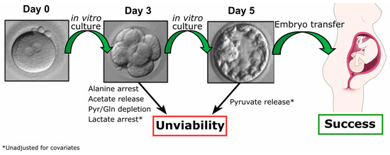 Metabolomics Integration in Assisted Reproductive Technologies for ...