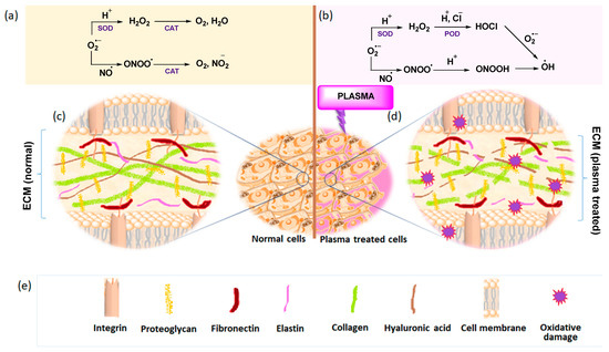 IJMS | Free Full-Text | Low-Temperature Plasma Techniques in Biomedical ...