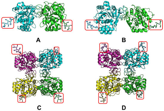 Structure–Functional Examination of Novel Ribonucleoside Hydrolase C (RihC) from ...