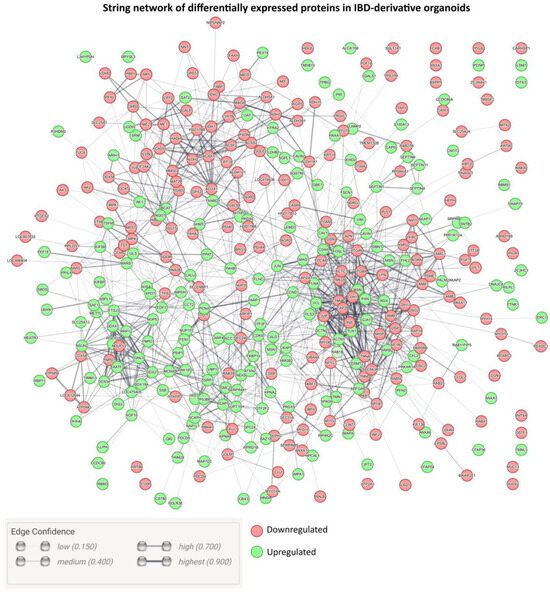 Traces of Canine Inflammatory Bowel Disease Reflected by Intestinal ...