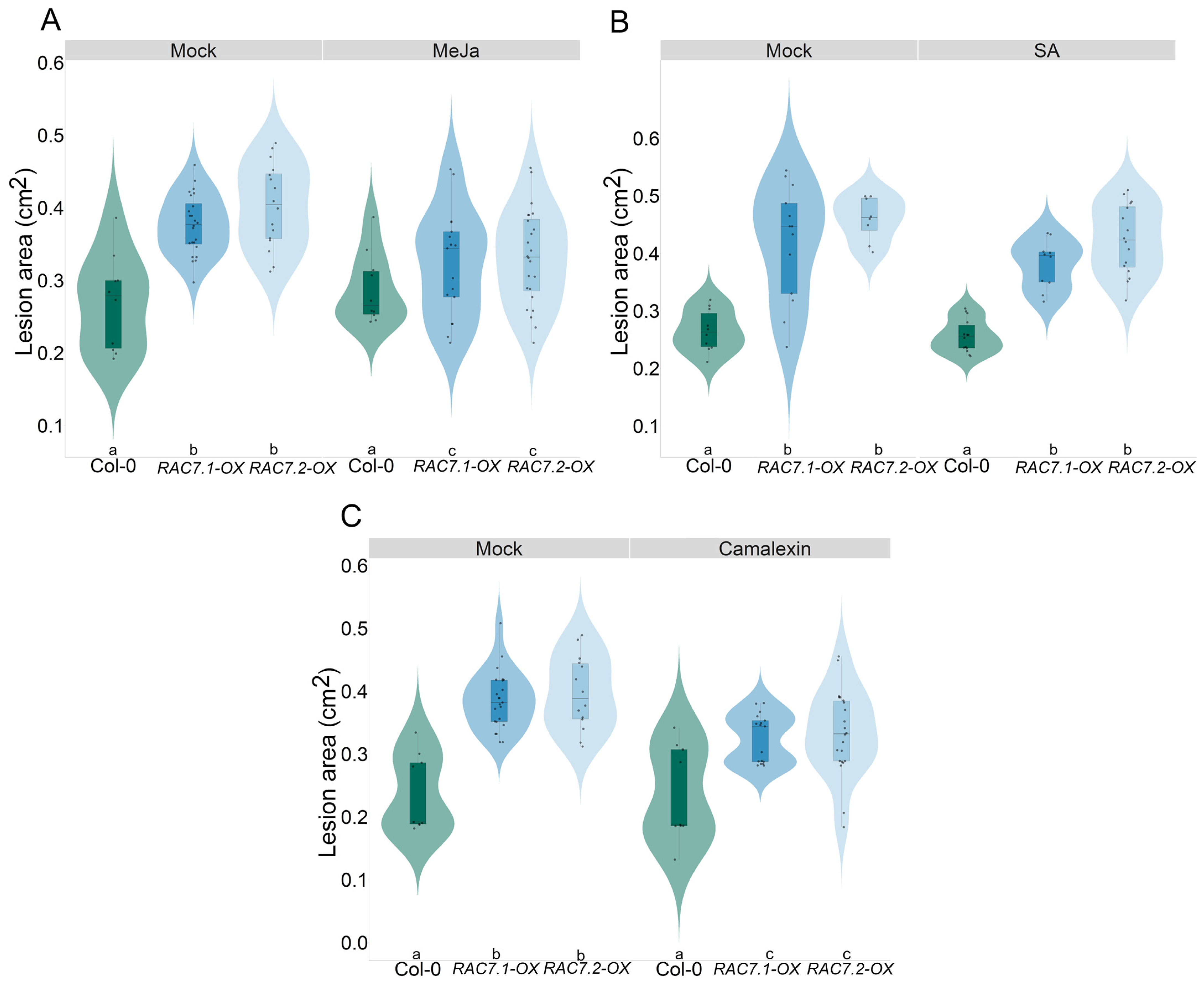 IJMS | Free Full-Text | AtRAC7/ROP9 Small GTPase Regulates A. thaliana ...