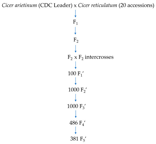 Novel Alleles from Cicer reticulatum L. for Genetic Improvement of ...