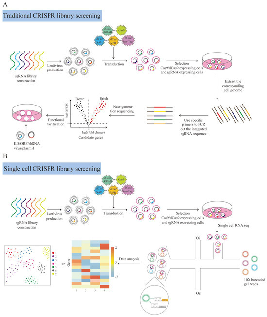 The Current Situation and Development Prospect of Whole-Genome Screening