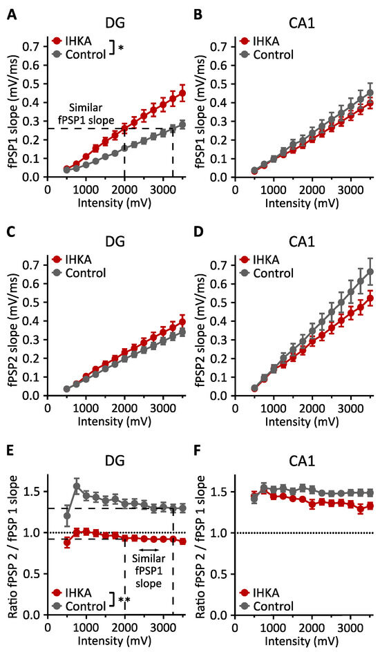 Increased Dentate Gyrus Excitability in the Intrahippocampal Kainic ...