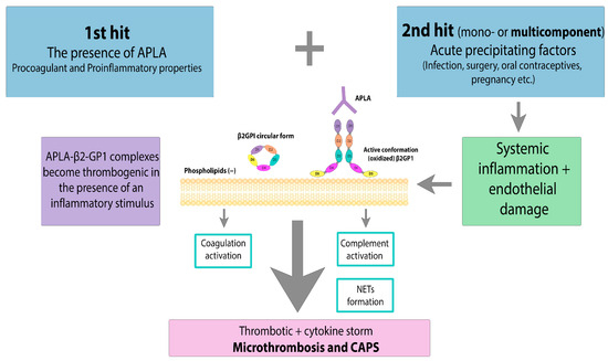 IJMS | Free Full-Text | Catastrophic Antiphospholipid Syndrome