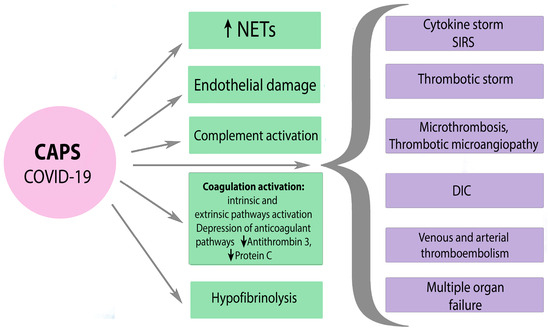 IJMS | Free Full-Text | Catastrophic Antiphospholipid Syndrome