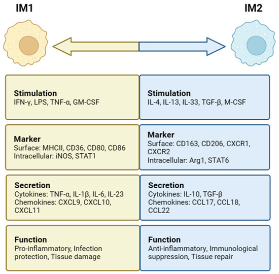 Involvement of Embryo-Derived and Monocyte-Derived Intestinal ...