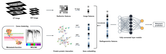 Graph Neural Network Model for Prediction of Non-Small Cell Lung Cancer Lymph Node Metastasis ...