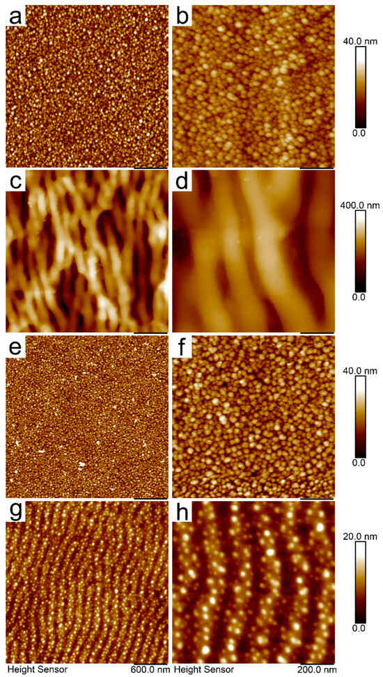 Modification of AgNP-Decorated PET: A Promising Strategy for ...