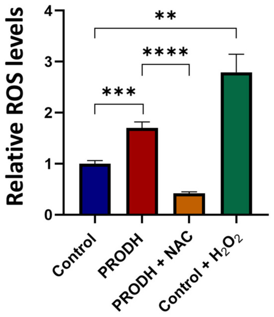 Proline Dehydrogenase (PRODH) Is Expressed in Lung Adenocarcinoma and ...