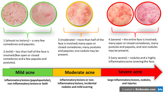 Exploring the Metabolic and Endocrine Preconditioning Associated with ...
