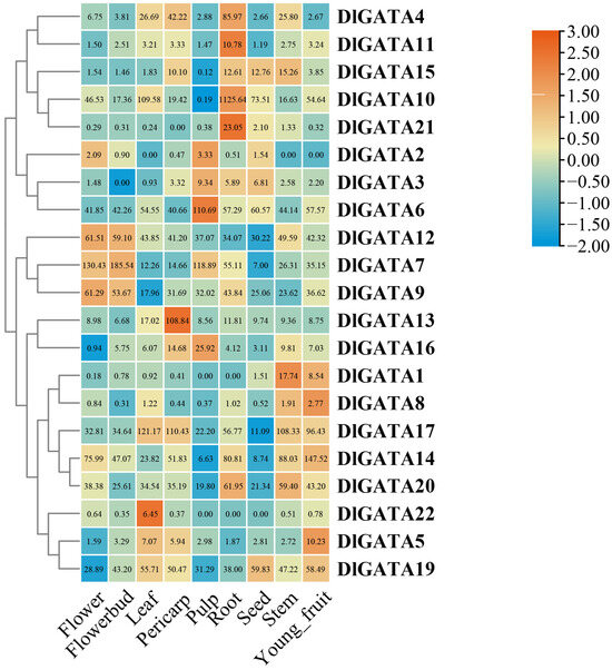Genome-Wide Identification and Expression Analysis of GATA Family Genes ...