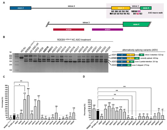 Splicing Modulation via Antisense Oligonucleotides in Recessive ...