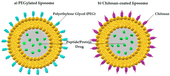 IJMS | Free Full-Text | The Current and Promising Oral Delivery Methods ...