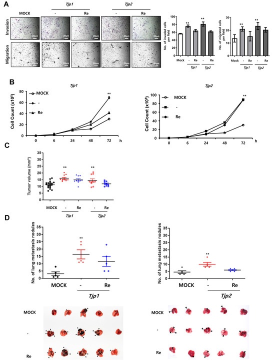 Functional Analysis of Membrane-Associated Scaffolding Tight Junction ...