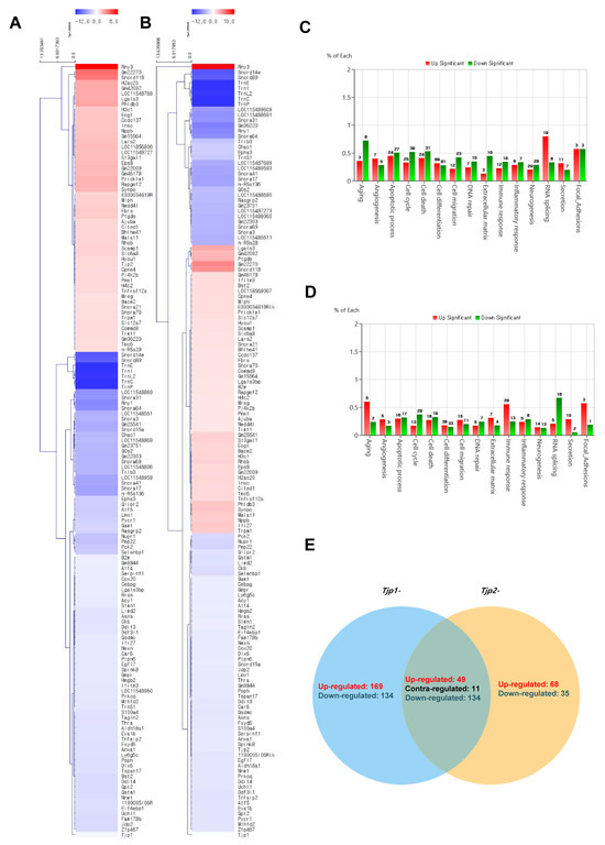 Functional Analysis of Membrane-Associated Scaffolding Tight Junction ...