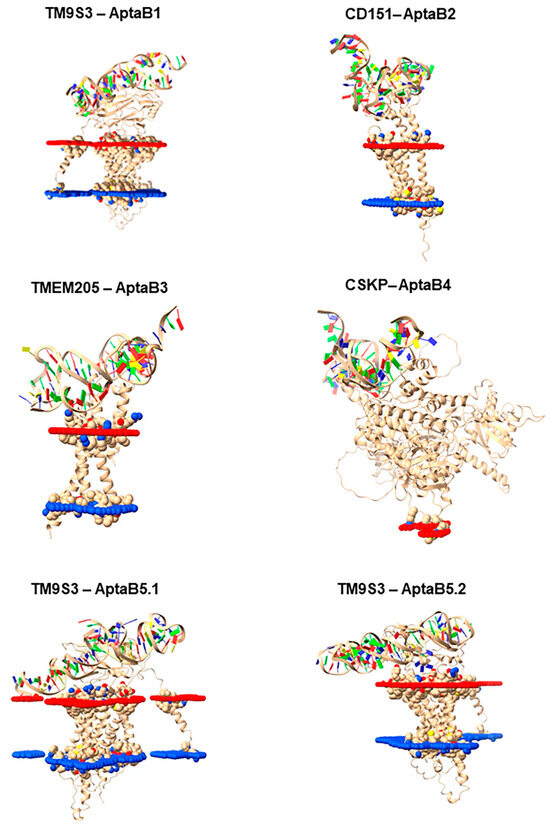 Aptamer-Based Recognition of Breast Tumor Cells: A New Era for Breast ...