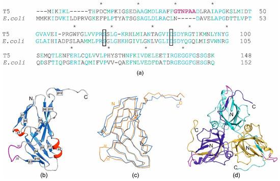 Bacteriophage T5 dUTPase: Combination of Common Enzymatic and Novel ...