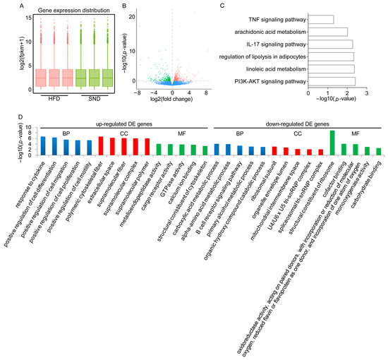 Let-7a-5p Regulates Animal Lipid Accumulation by Targeting Srebf2 and ...