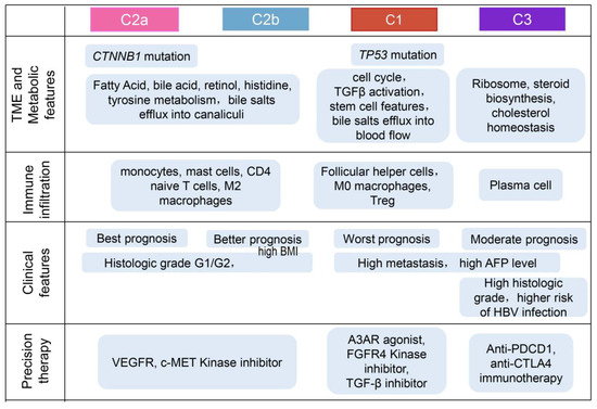 Establishment and Validation of Novel Prognostic Subtypes in ...