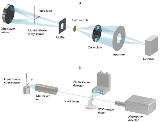 Laboratory Liquid-Jet X-ray Microscopy and X-ray Fluorescence Imaging for Biomedical Applications
