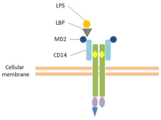 IJMS | Free Full-Text | PAMPs and DAMPs in Sepsis: A Review of Their ...
