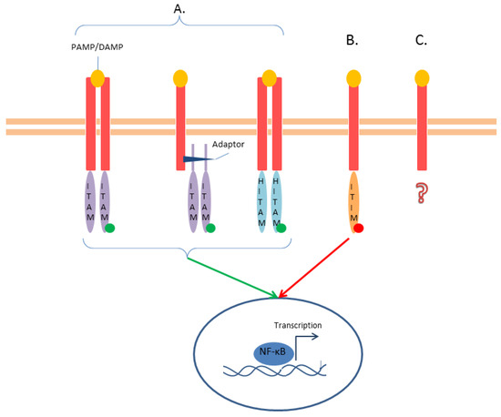 IJMS | Free Full-Text | PAMPs and DAMPs in Sepsis: A Review of Their ...