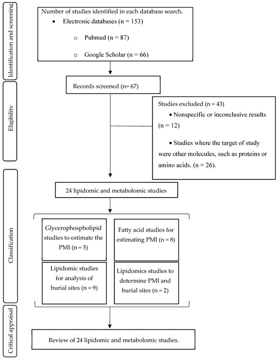 IJMS | Free Full-Text | Lipidomes in Cadaveric Decomposition and ...