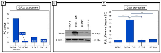 A Prognostic Activity of Glutaredoxin 1 Protein (Grx1) in Colon Cancer