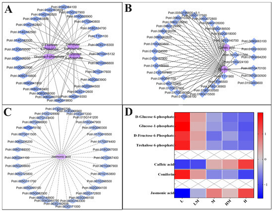 Network Analysis of Metabolome and Transcriptome Revealed Regulation of Different Nitrogen ...