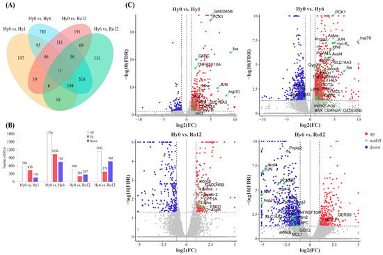 Integrated Transcriptomics and Metabolomics Reveal Changes in Cell ...