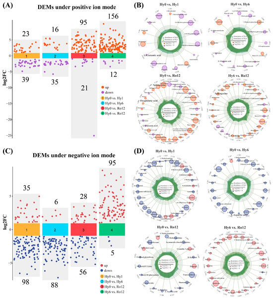 Integrated Transcriptomics and Metabolomics Reveal Changes in Cell ...