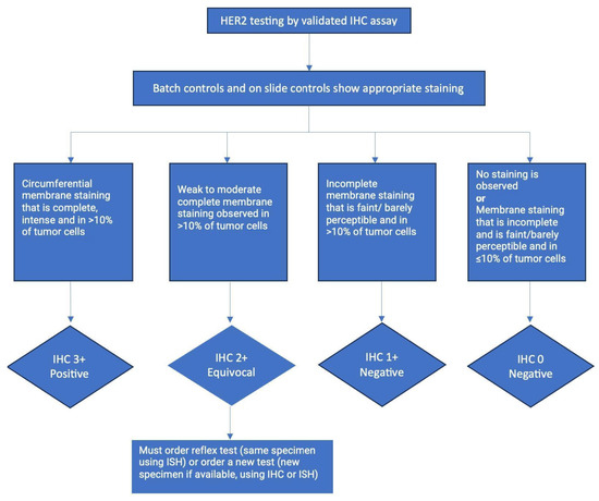 IJMS | Free Full-Text | Molecular Targeting of the Human Epidermal ...