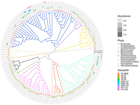 IJMS | Free Full-Text | Lignocellulolytic Potential of Microbial Consortia Isolated from a Local ...