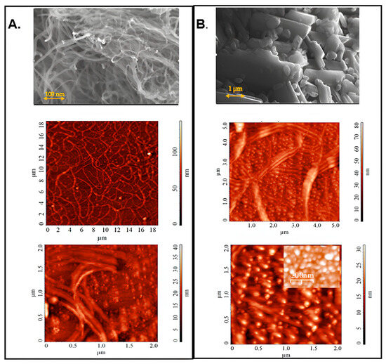 Poly(vinyl chloride)/Nanocarbon Composites for Advanced Potentiometric ...