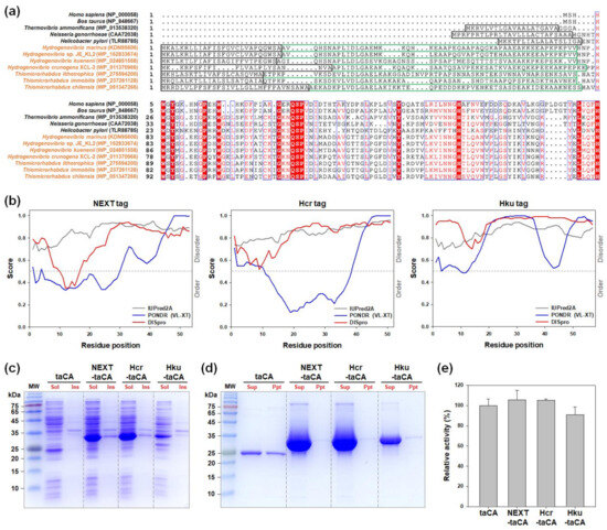 Improved Solubility and Stability of a Thermostable Carbonic Anhydrase ...