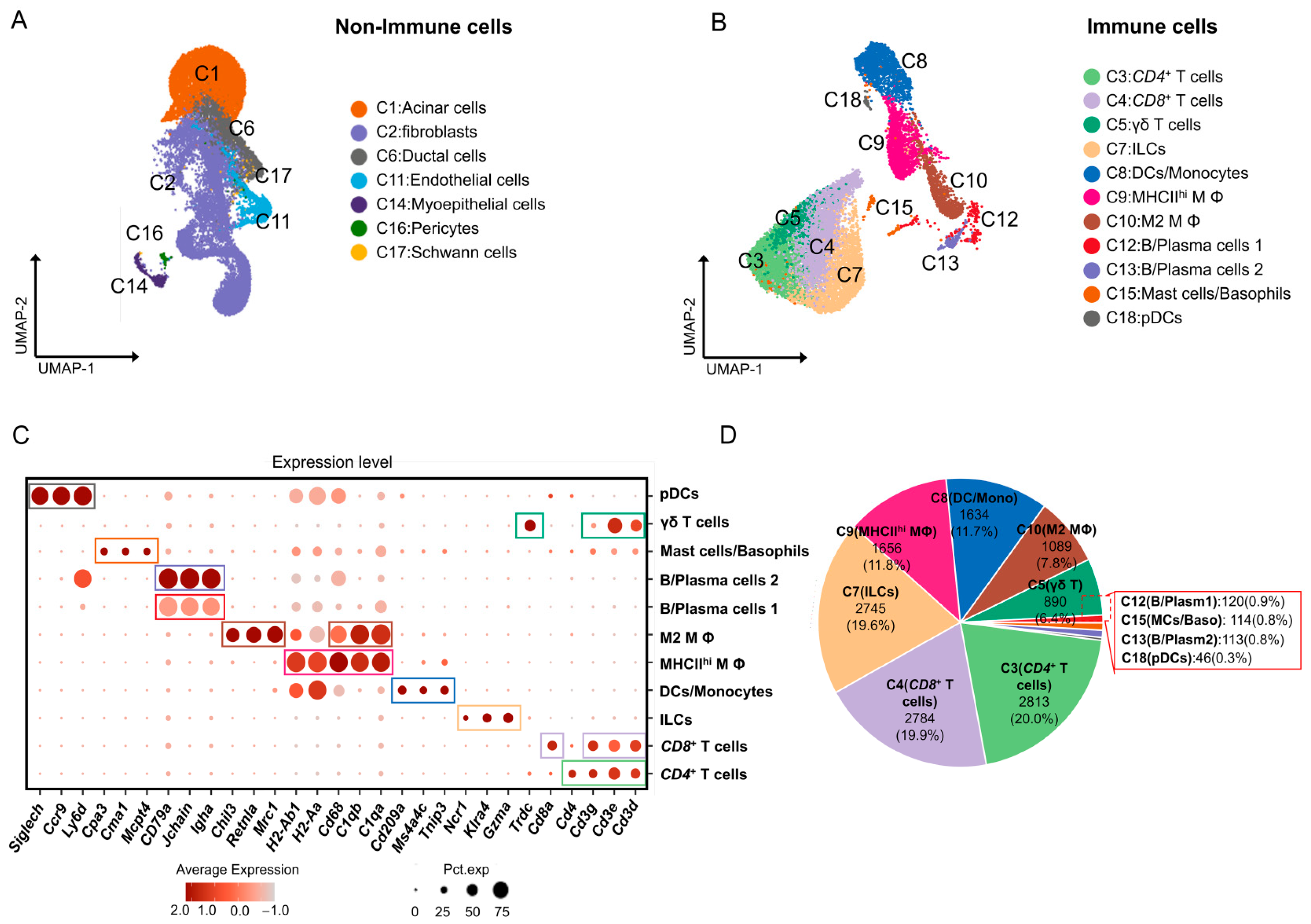 IJMS | Free Full-Text | Exploring Immune Cell Diversity in the Lacrimal ...