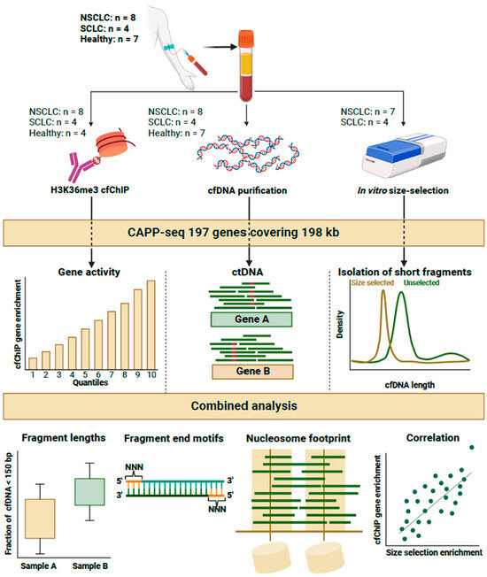 IJMS | Free Full-Text | Integration of Cell-Free DNA End Motifs and ...