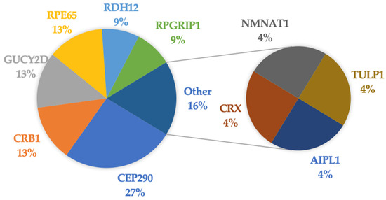 The Clinical Findings, Pathogenic Variants, and Gene Therapy ...