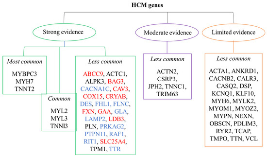 Morphological and Genetic Aspects for Post-Mortem Diagnosis of ...