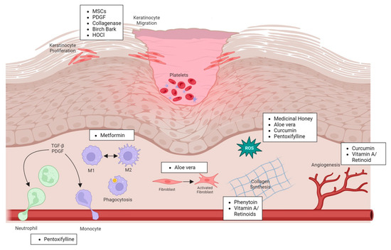 Kick-Starting Wound Healing: A Review of Pro-Healing Drugs