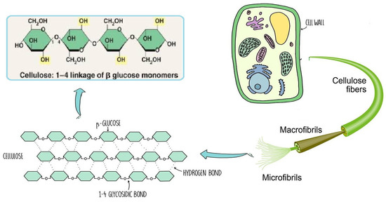 A Review of Natural Polysaccharides: Sources, Characteristics ...