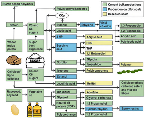 A Review of Natural Polysaccharides: Sources, Characteristics ...