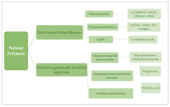 A Review of Natural Polysaccharides: Sources, Characteristics ...