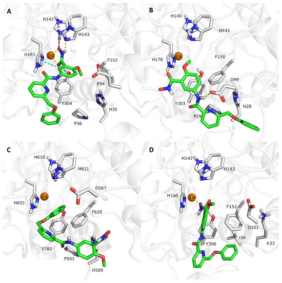 Comparative Structure-Based Virtual Screening Utilizing Optimized ...