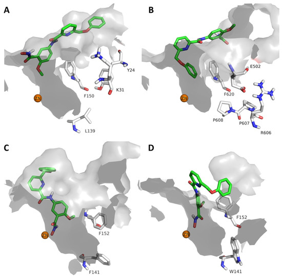 IJMS | Free Full-Text | Comparative Structure-Based Virtual Screening Utilizing Optimized ...