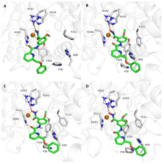 Comparative Structure-Based Virtual Screening Utilizing Optimized AlphaFold Model Identifies ...